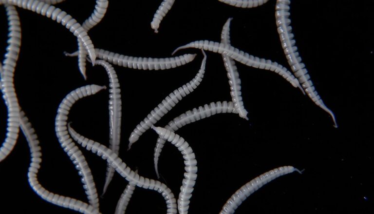 Tiny White Worms in Aquarium? Here's What They Are and How to Get Rid ...